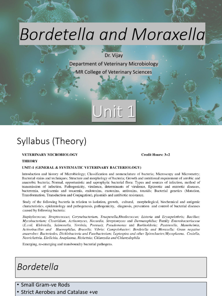 Bordetella and Morexella | PDF | Clinical Medicine | Animal Diseases