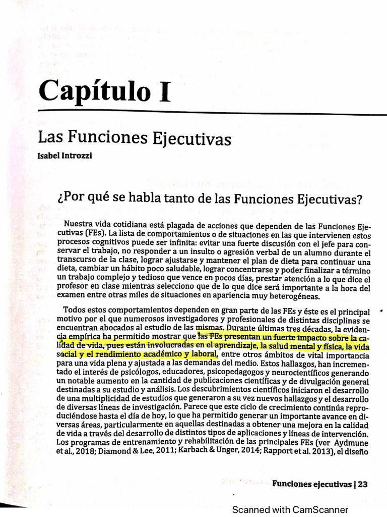 Cap1 - Las Funciones Ejecutivas | PDF