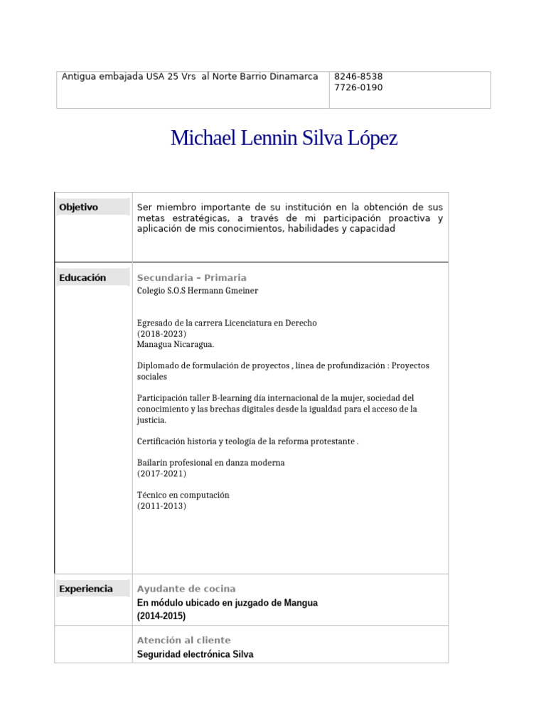 CV Michael Silva | PDF