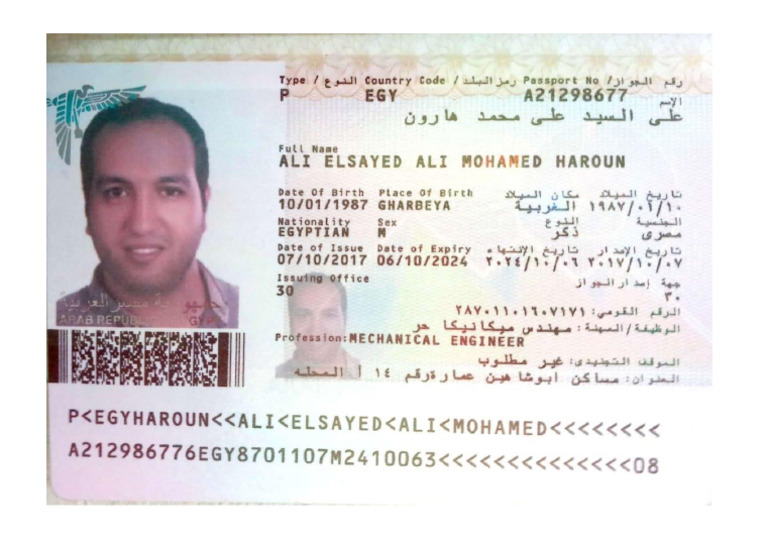 Ali Passport | PDF