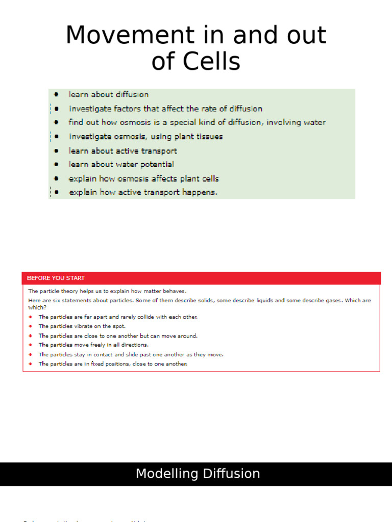 Movement in and Out of Cells | PDF