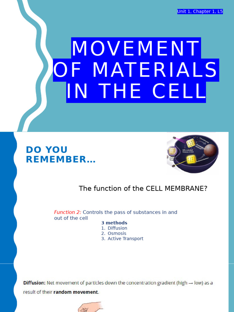 2.Movement in and Out of Cells | PDF | Osmosis | Diffusion