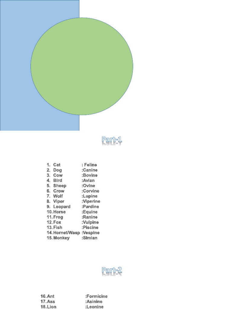 Animal Adjective | PDF