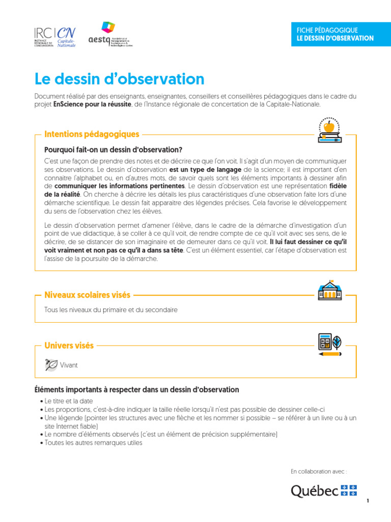 Guide du Dessin d'Observation en Classe | PDF | Pédagogie | Dessin