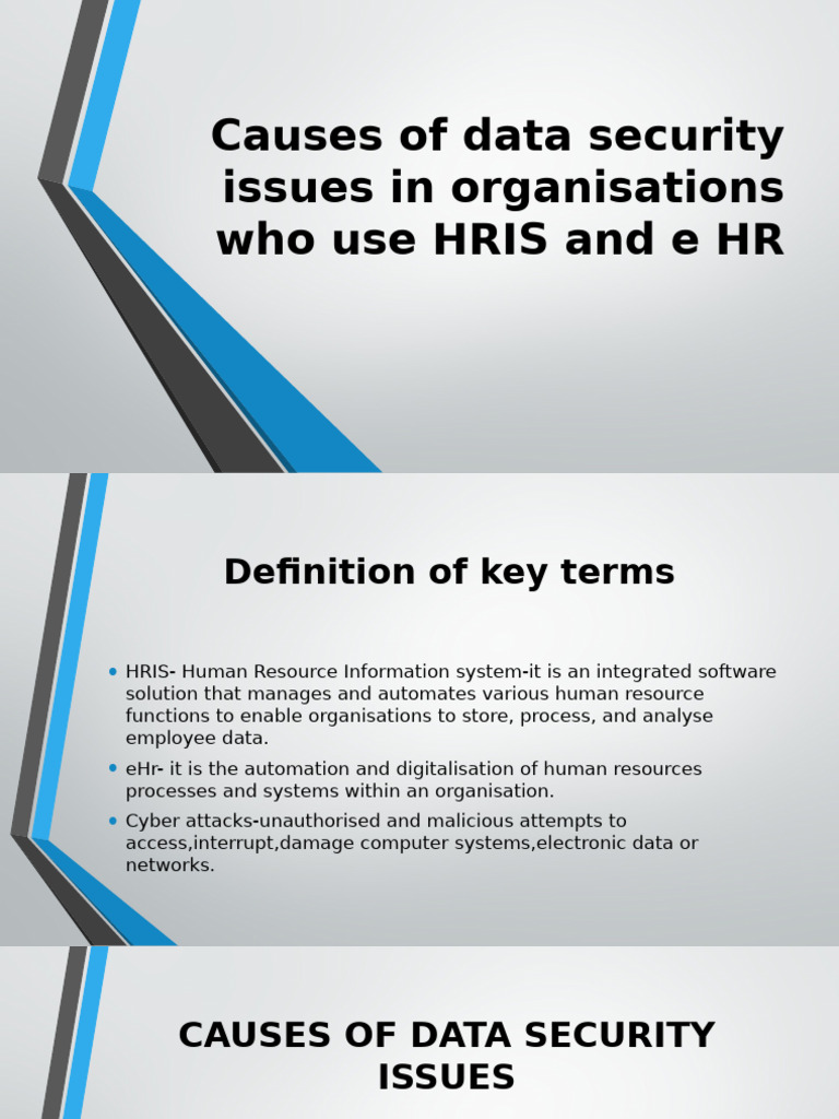 Causes of Data Security Issues in Organisations Who | PDF | Security ...