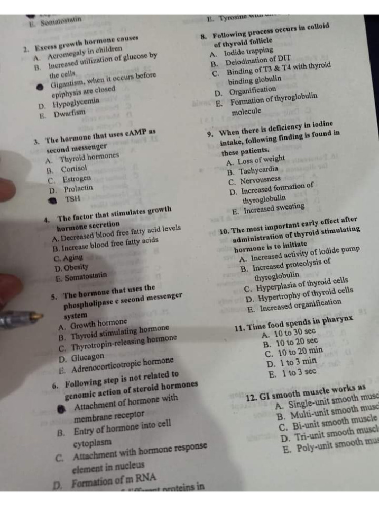 Git & Endo Test - CMC | PDF