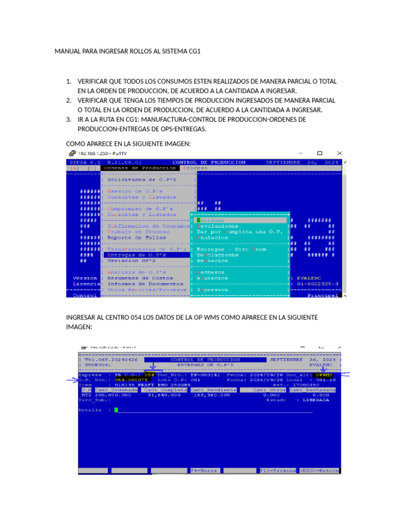 Manual para Ingresar Rollos Al Sistema CG1 | PDF | Tecnología