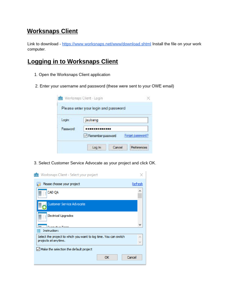 Worksnaps Guide 1 | PDF