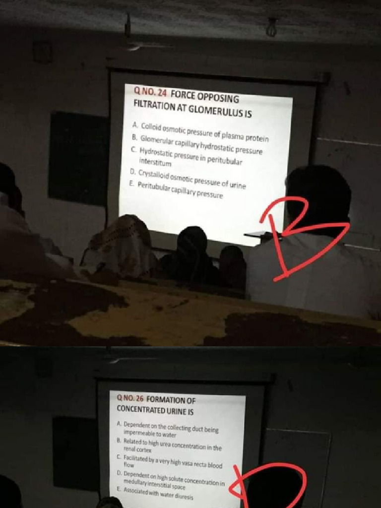 Physio Test (Batch44) Solved | PDF