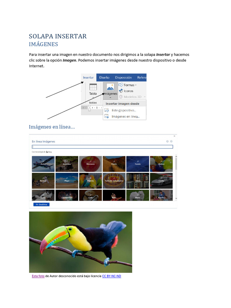 Microsoft Word-003 (Insertar - Imágenes) | PDF | Imagen