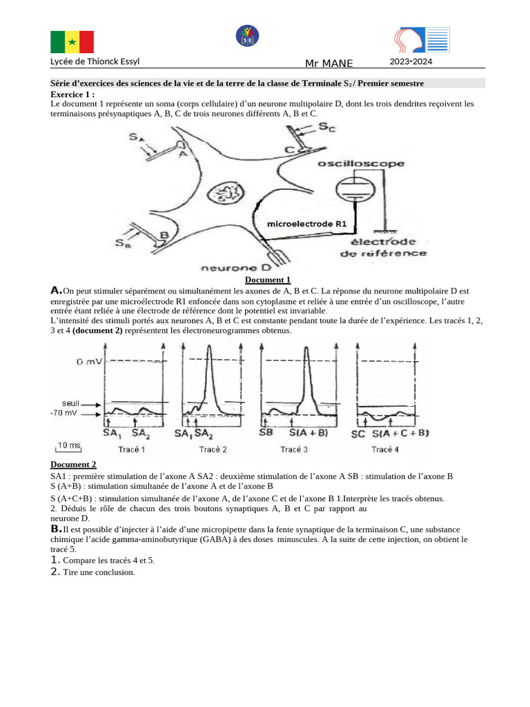 Conduction saltatoire et douleur nerveuse | PDF | Neurone | Synapse