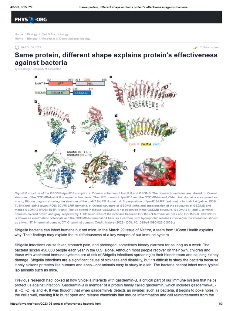 Same Protein, Different Shape Explains Proteins Effectiveness Against ...
