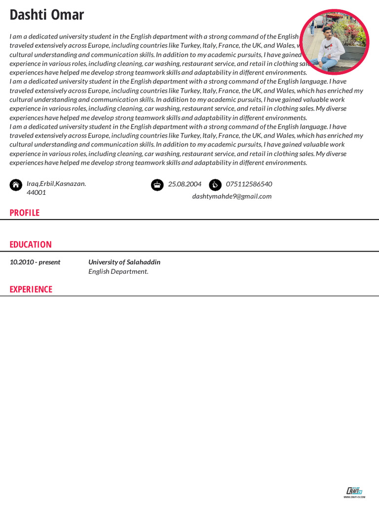 Dashti Omar CV | PDF | Cognition | Human Communication