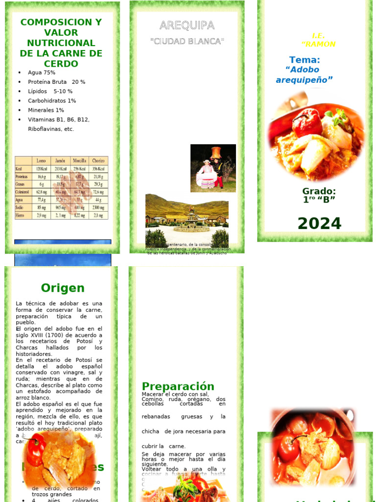 Adobo Arequipeno | PDF | Biofísica Molecular | Productos naturales