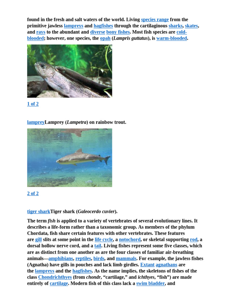 sea_species | PDF | Fish | Gill