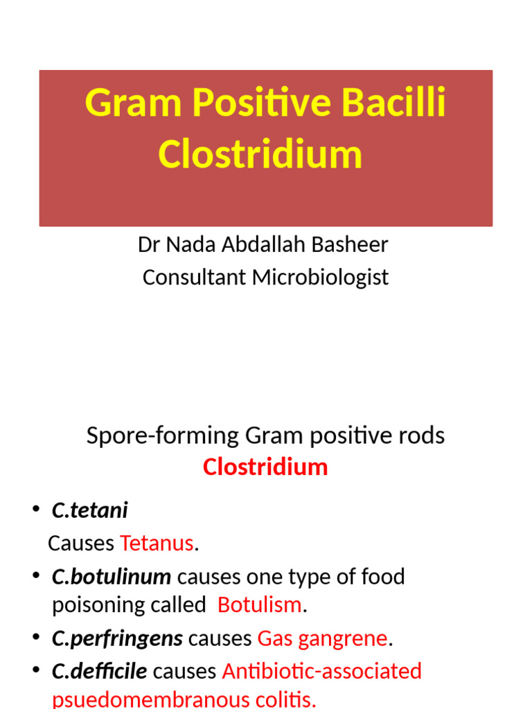 14_ Gram Positive BacilliClostridium | PDF | Clinical Medicine ...