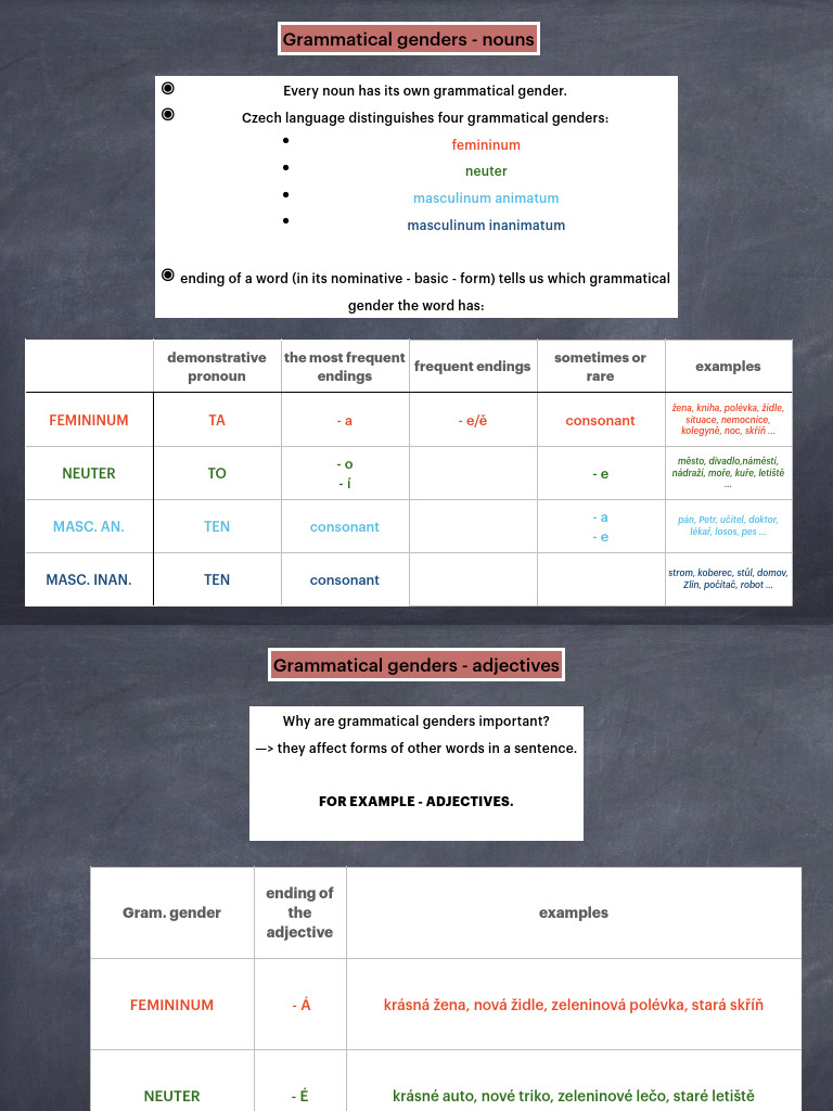 Grammatical Genders | PDF