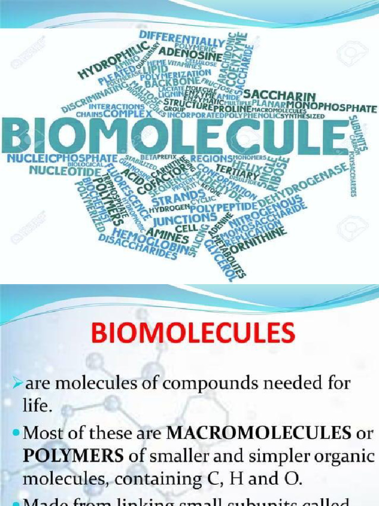 BIOMOLECULES-PPT | PDF