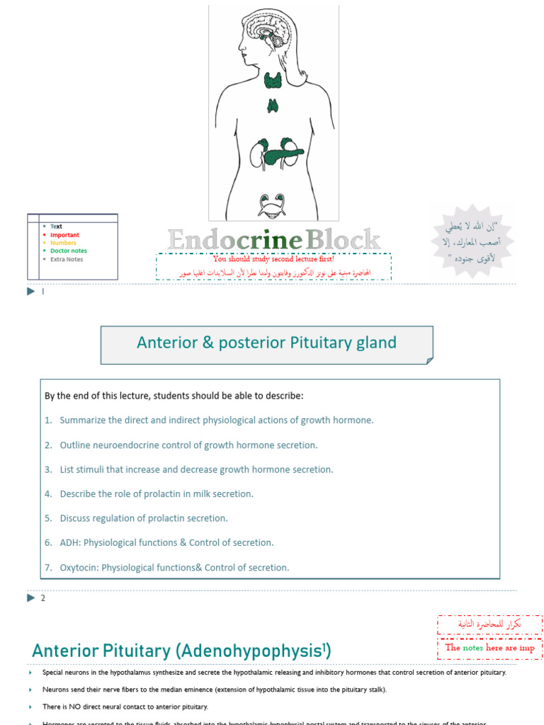 3,4,5 Anterior & Posterior Pitutary Gland (Edited) | PDF | Pituitary ...