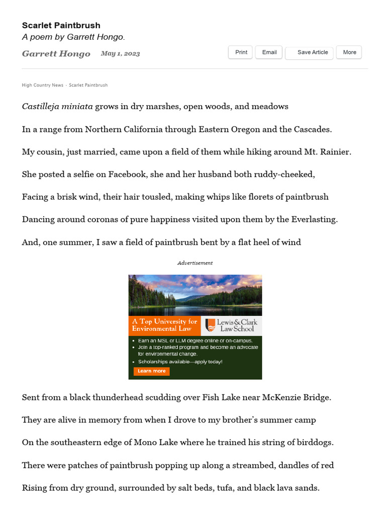Scarlet Paintbrush - High Country News | PDF | Poetry | General Fiction