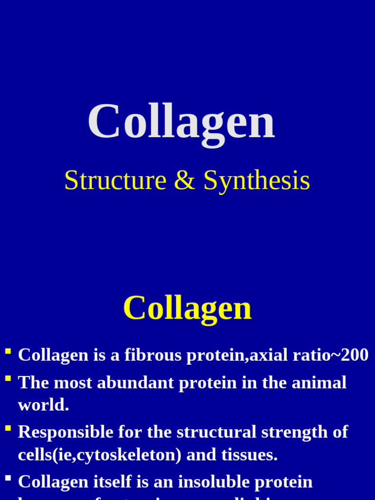 Collagen | PDF | Collagen | Tendon