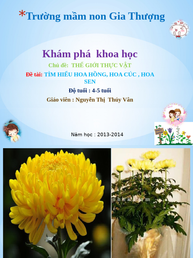 Hoa Hong Va Hoa Cuc 193201816 | PDF