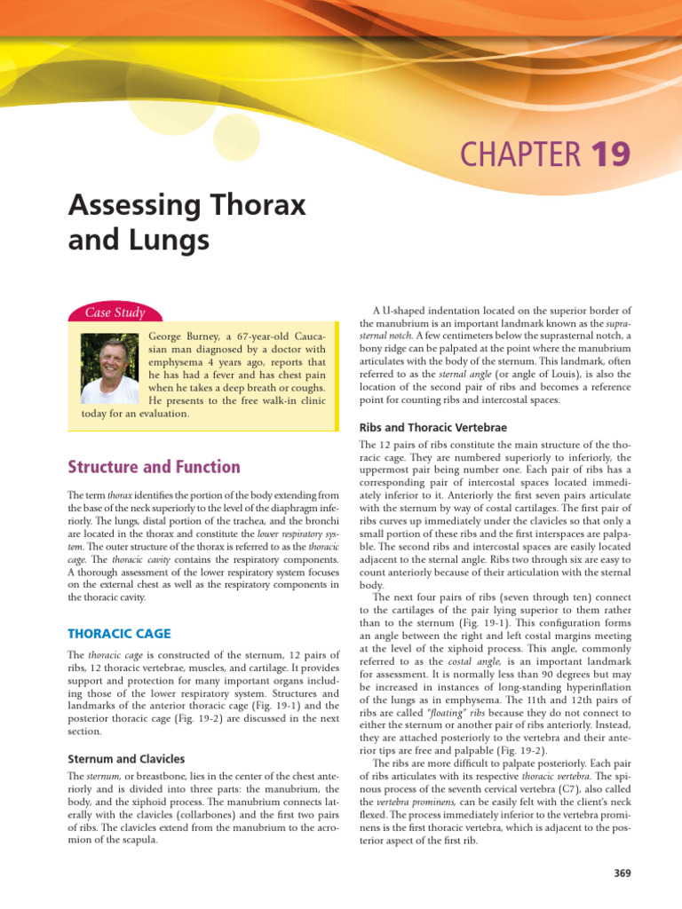 Lungs and Thorax | PDF | Thorax | Lung