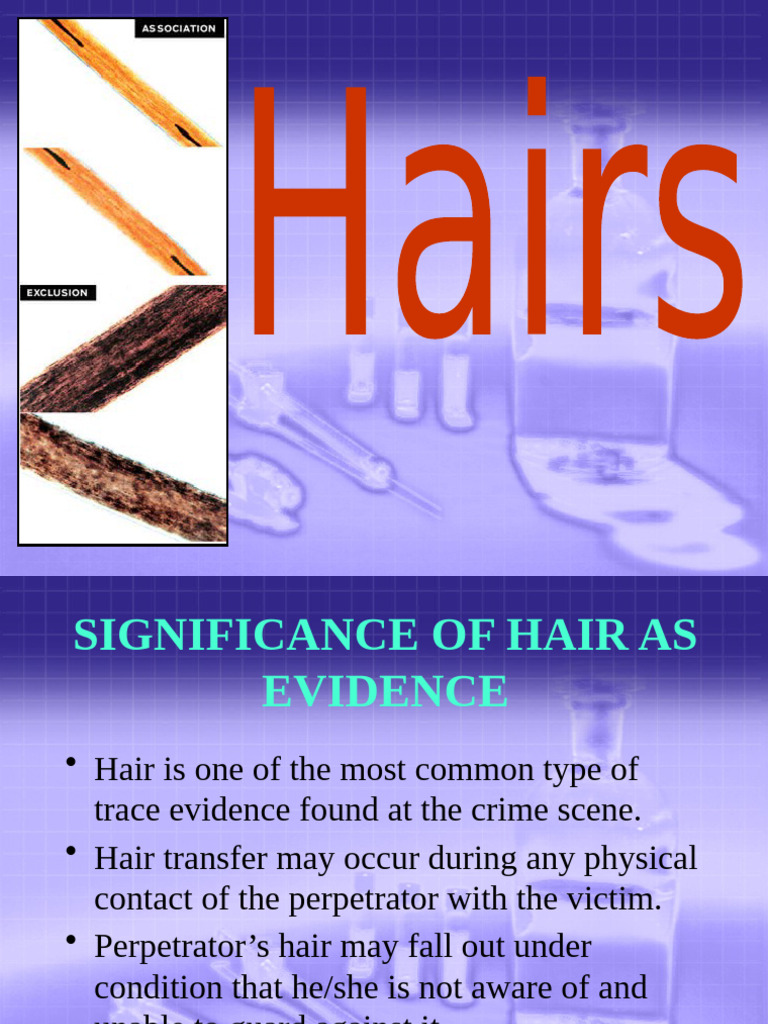 6.-HAIR | PDF | Hair | Human Hair