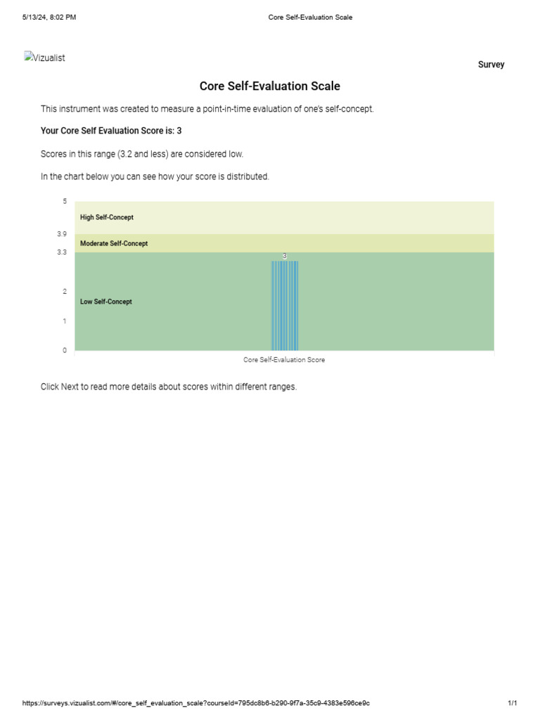 Core Self-Evaluation Score Results | PDF