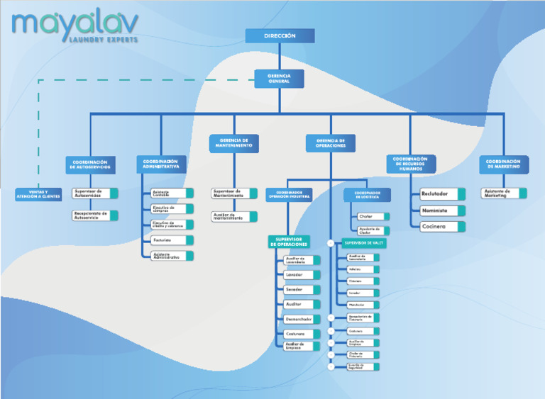 ORGANIGRAMA 2024 CURVAS (1) | PDF