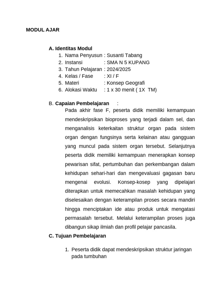 MODUL AJAR Geo Contoh | PDF