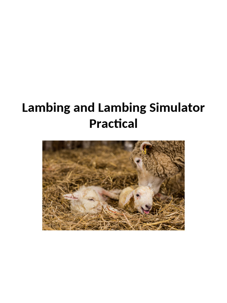Lambing Equipment and Procedures Guide | PDF | Sheep | Medical Specialties