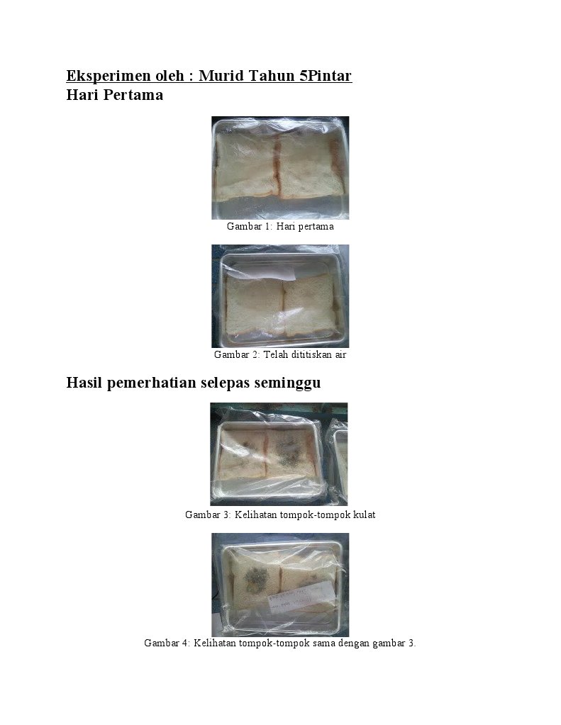 Eksperimen - Roti Berkulat | PDF