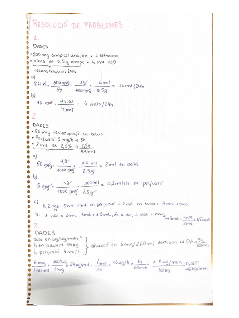 RESOLUCIÓ DE PROBLEMES | PDF