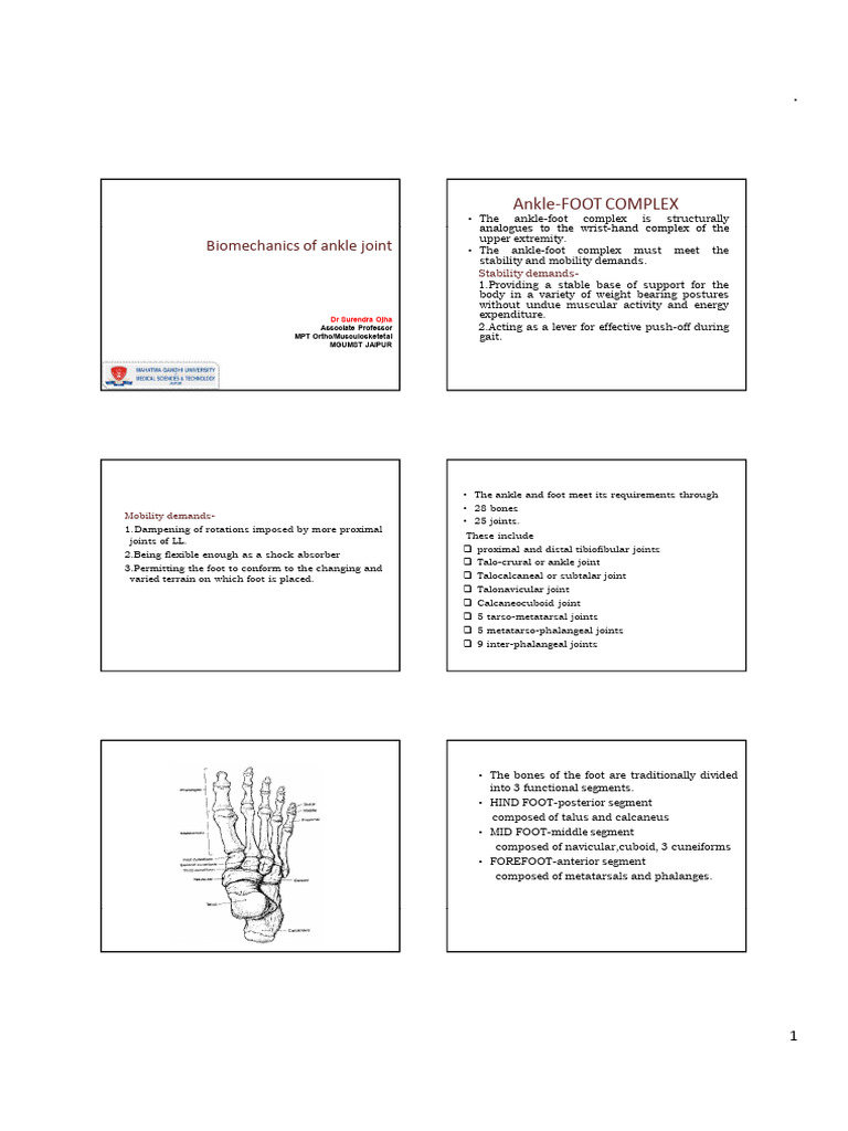 Biomechanics of Ankle Joint | PDF | Ankle | Foot