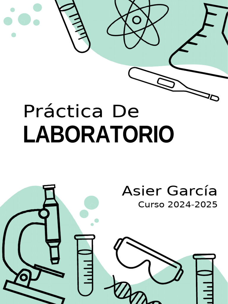 Practica de Laboratorio 1 | PDF