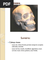 Anatomia dos Ossos da Cabeça | PDF | Crânio | Anatomia