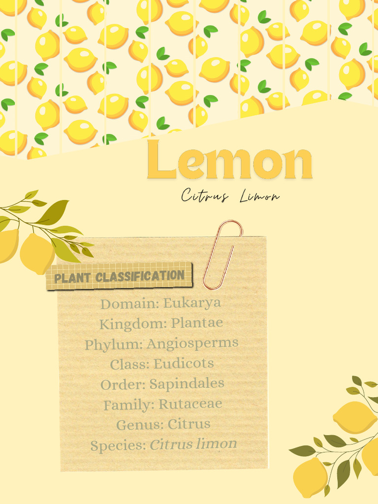 Lemon | PDF