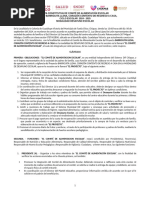 Instructivo SIEB | PDF
