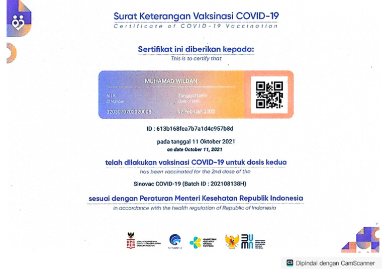 Surat Vaksin - Muhammad Wildan | PDF