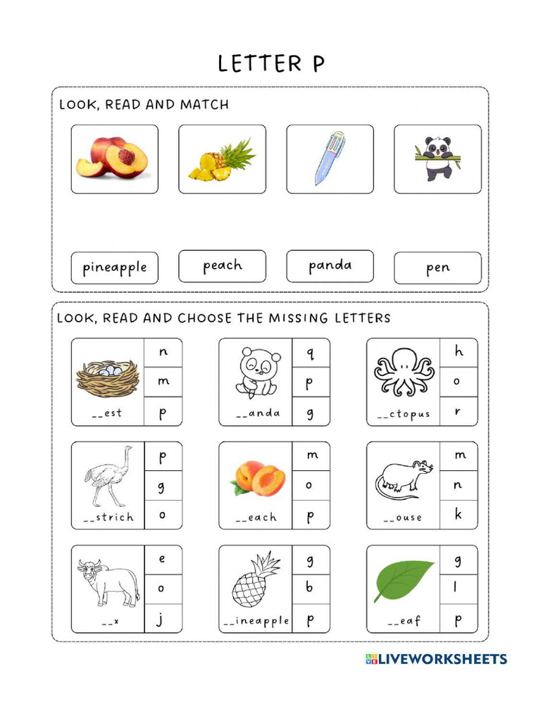 Letter PP | PDF