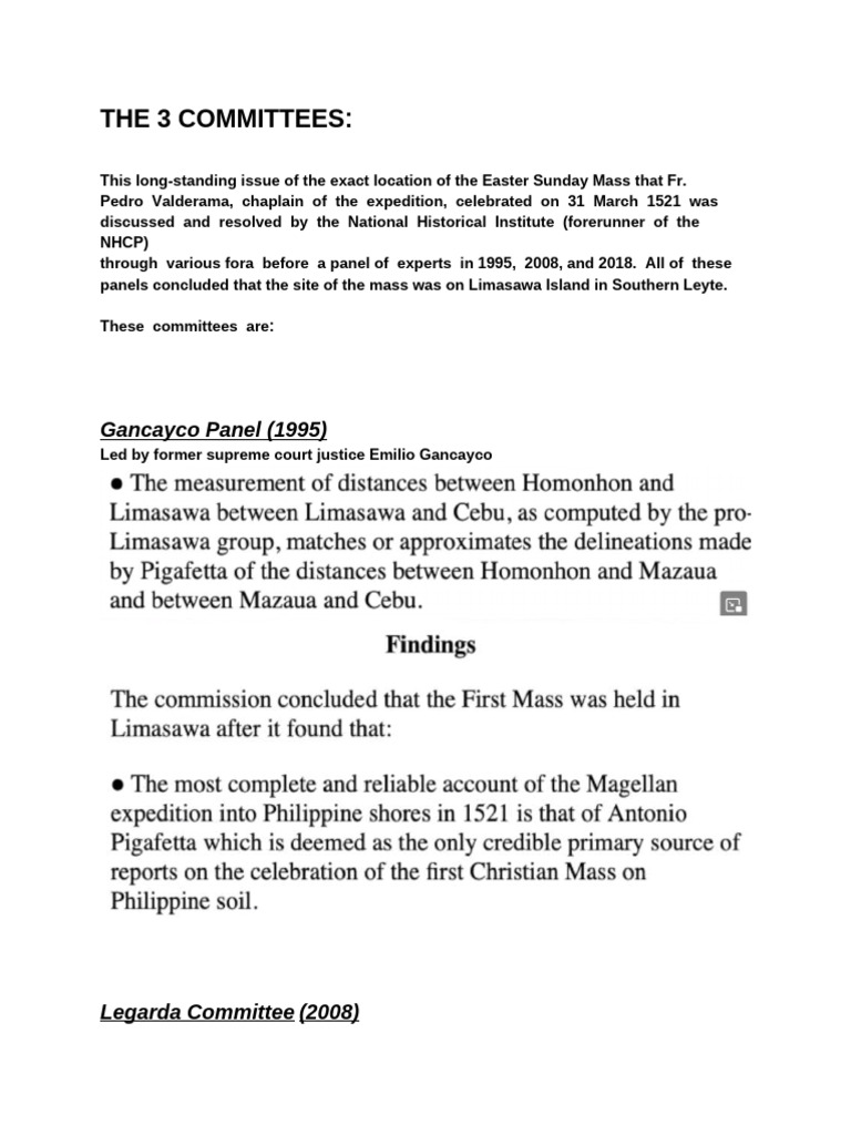 The 3 Committees | PDF