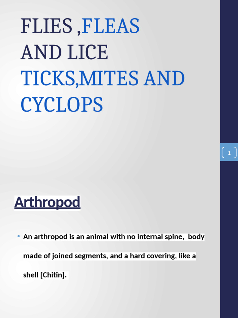 Flies, Fleas and Lice, Ticks, Mites, Cyclops | PDF | Fly