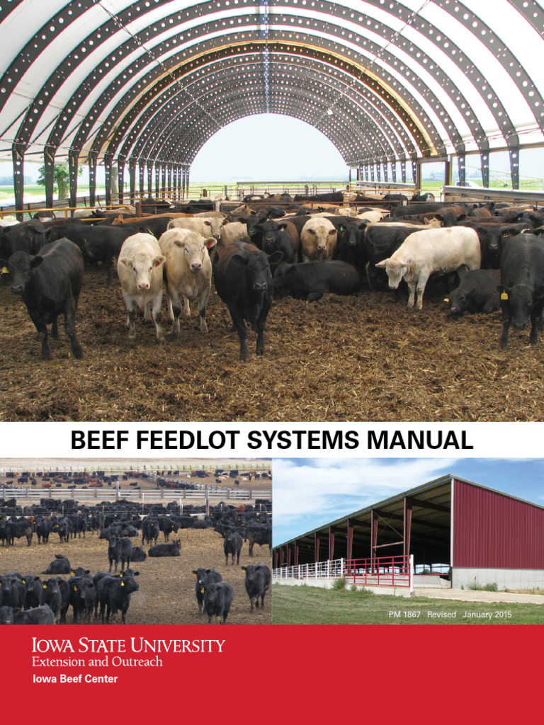 Iowa Beef Feedlot Systems Guide | PDF | Cattle | Intensive Animal Farming