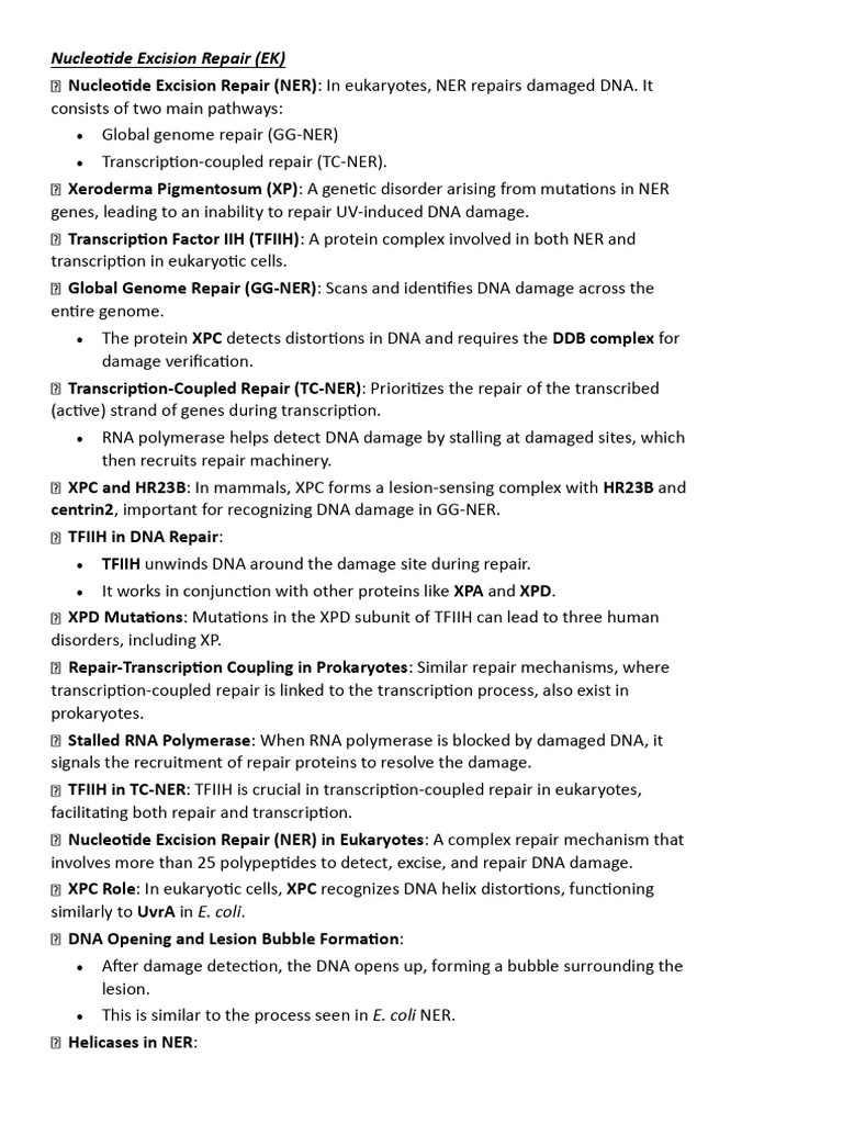Nucleotide Excision Repair Overview | PDF | Dna Repair | Dna