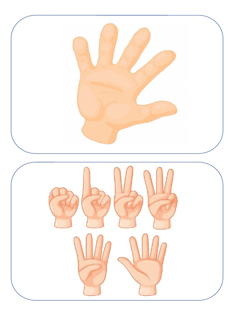 Flashcard - Song - How Many Fingers | PDF