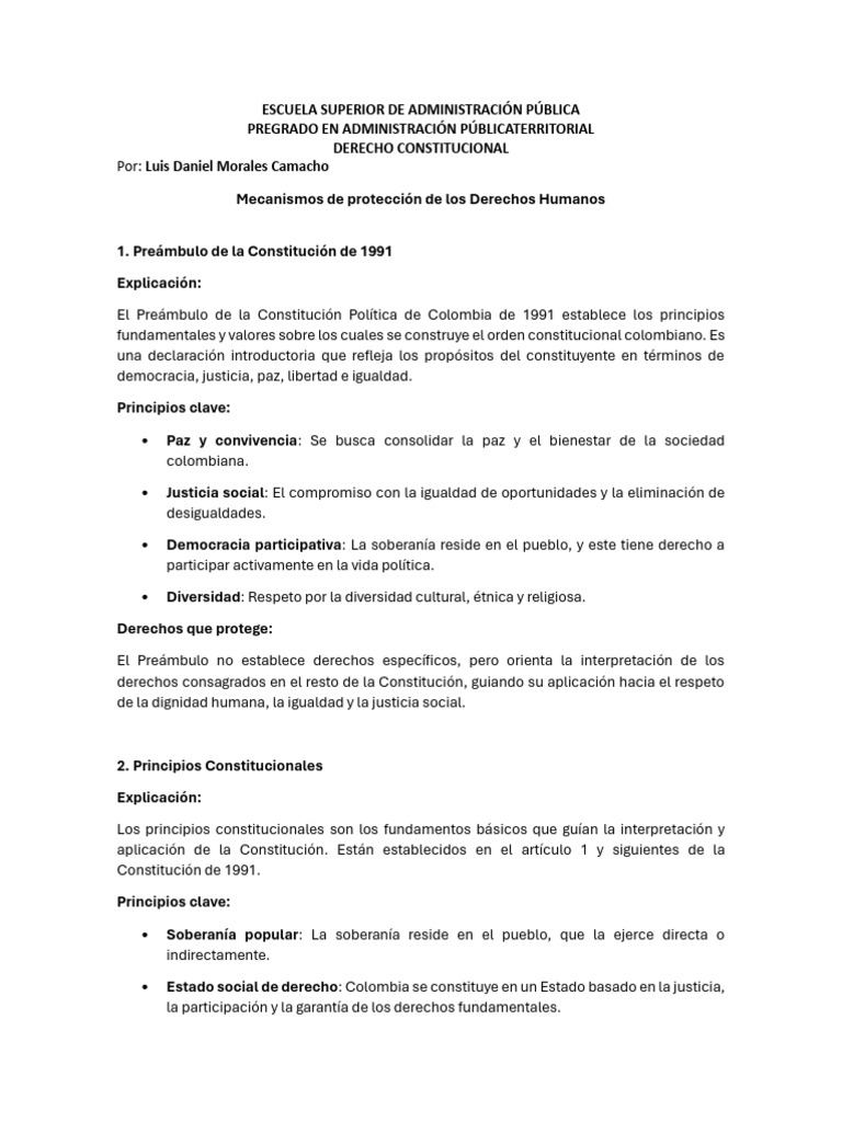 Morales Camacho Luis Daniel - Mecanismos Proteccion DDHH | PDF | Petición | Constitución