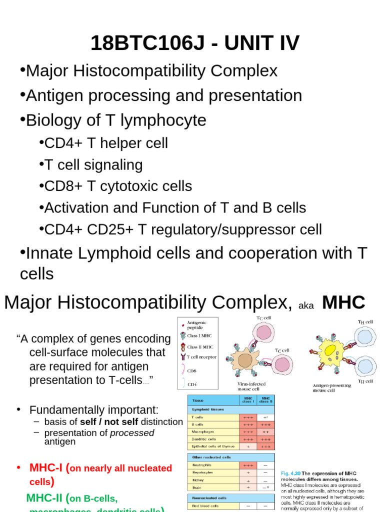 18BTC106J-UNIT 4 Immunology Revised March 2018 | PDF | T Cell | Major Histocompatibility Complex