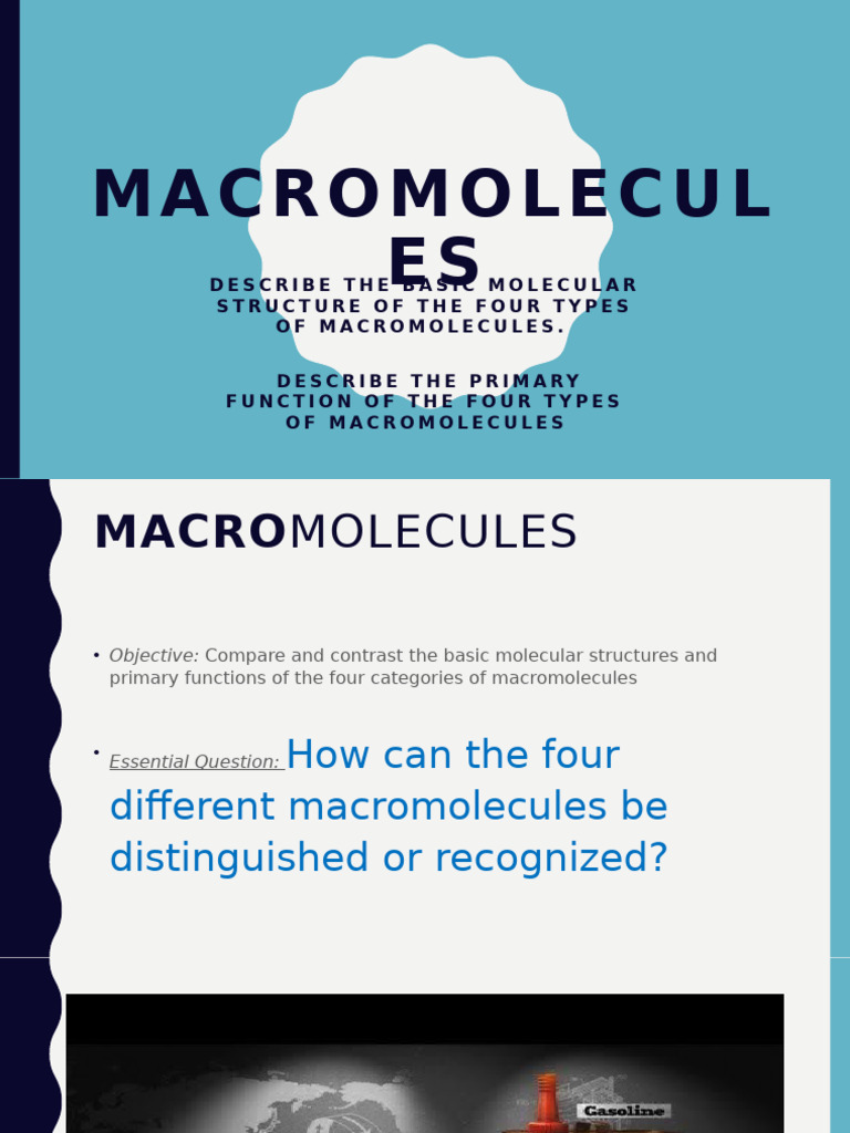 Macromolecules SUMMARY NOTE | PDF | Macromolecules | Lipid