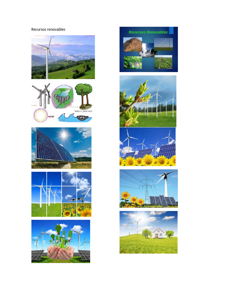Recursos renovables | PDF